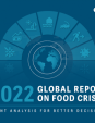 Global Report on Food Crises 2023 | Food Security Information Network (FSIN)